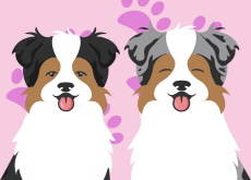 타임즈 아카데미