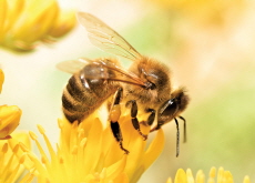 타임즈 아카데미