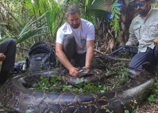 구독률 1위 영자신문 - 틴타임즈